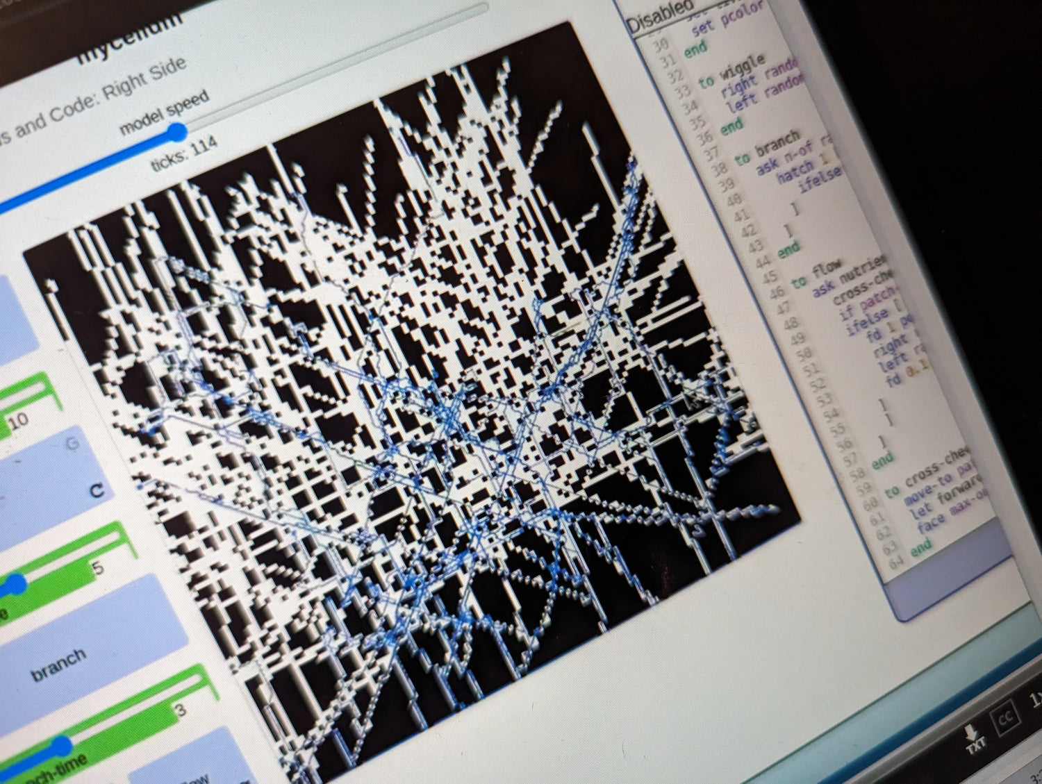 Exploring the Mycelial Web: A Dive into FungiBros. Mycelium Growth Adv